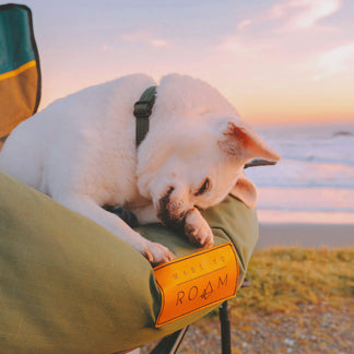 Lunar Bed – Made To Roam