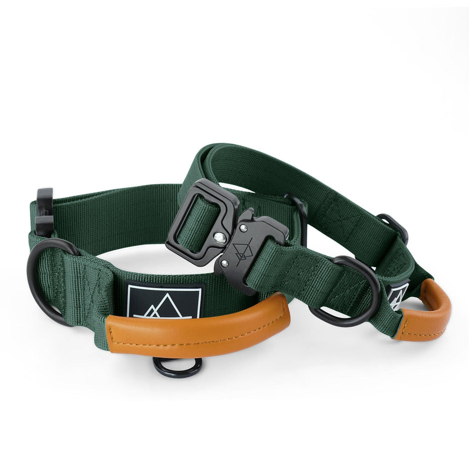 Explorer Control Collar – Made To Roam