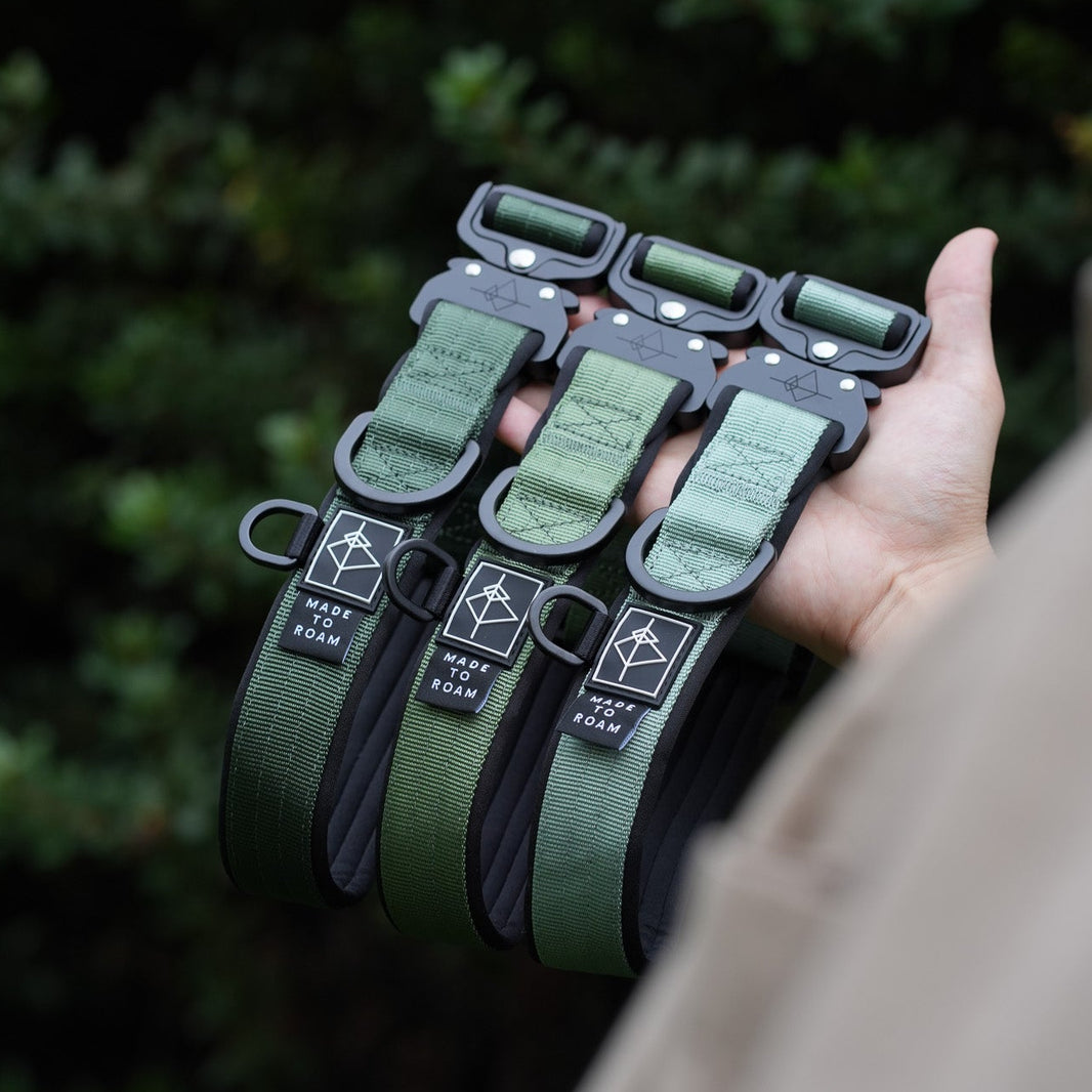 Collars – Made To Roam
