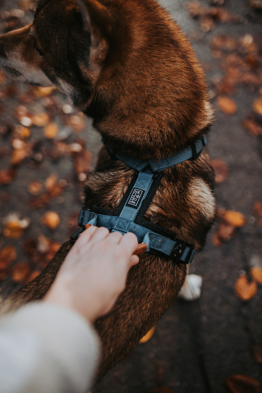 Explorer Harness – Made To Roam